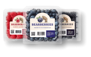 Bearberries | Premium Berries